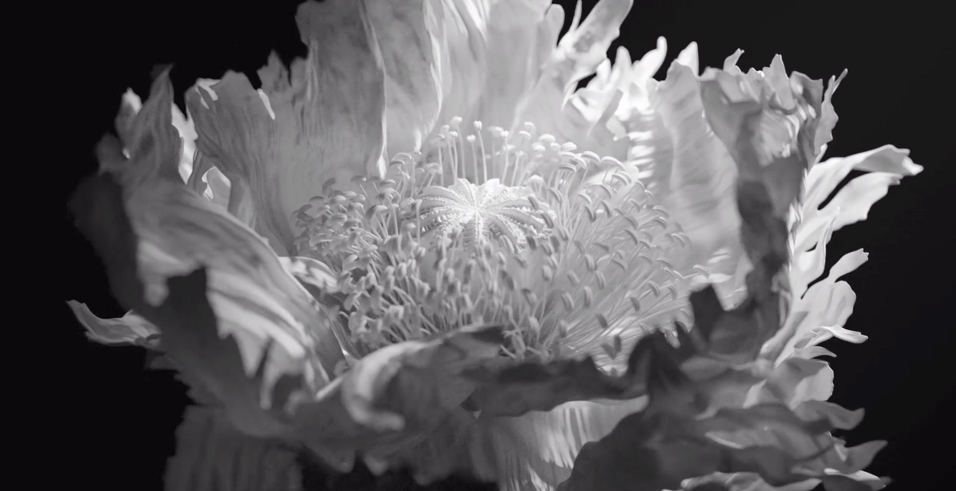 Login - Motion design - STASH : Motion design – STASH