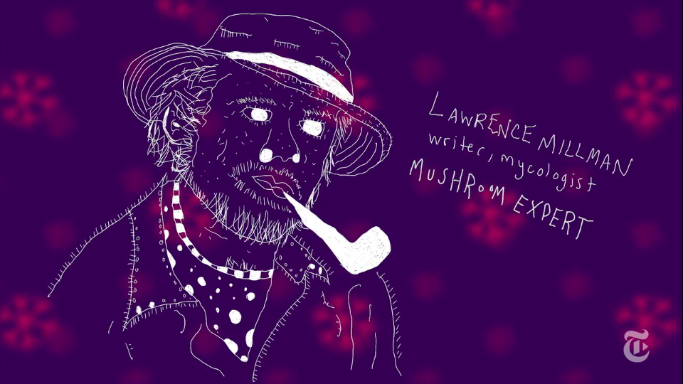 Matthew Salton: "Santa Is a Psychedelic Mushroom" | STASH MAGAZINE ...