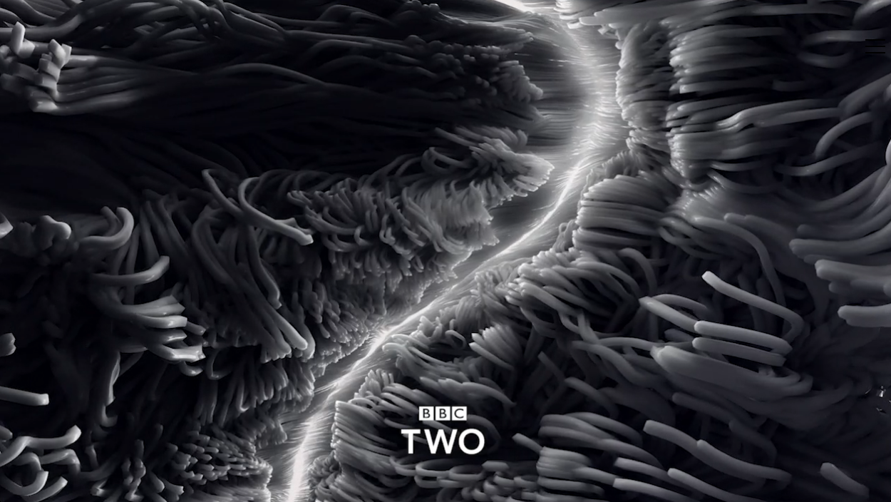 BBC Two Brand Refresh IDs | STASH MAGAZINE : Motion design – STASH