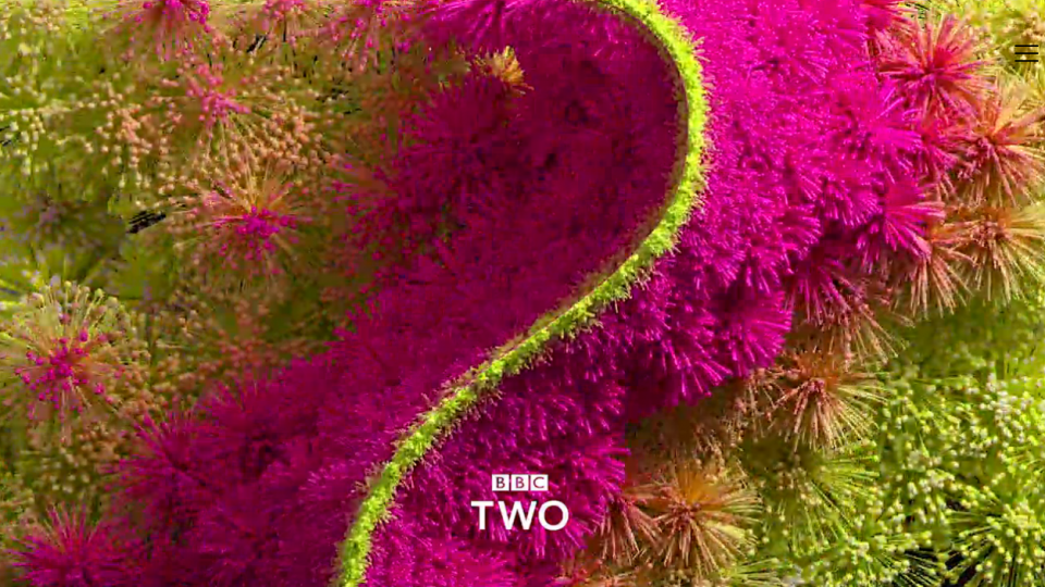 BBC Two Brand Refresh IDs | STASH MAGAZINE : Motion design – STASH