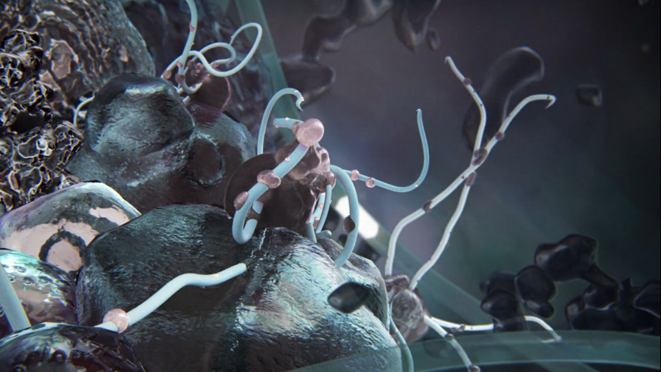 "Causims" Simulated Microcosmic Nature Documentary | STASH MAGAZINE ...
