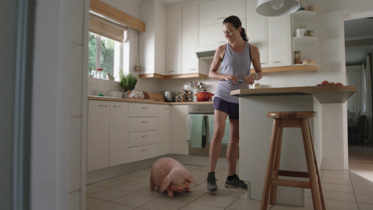Santander's Piggy Returns in "The Marathon" | STASH MAGAZINE : Motion ...