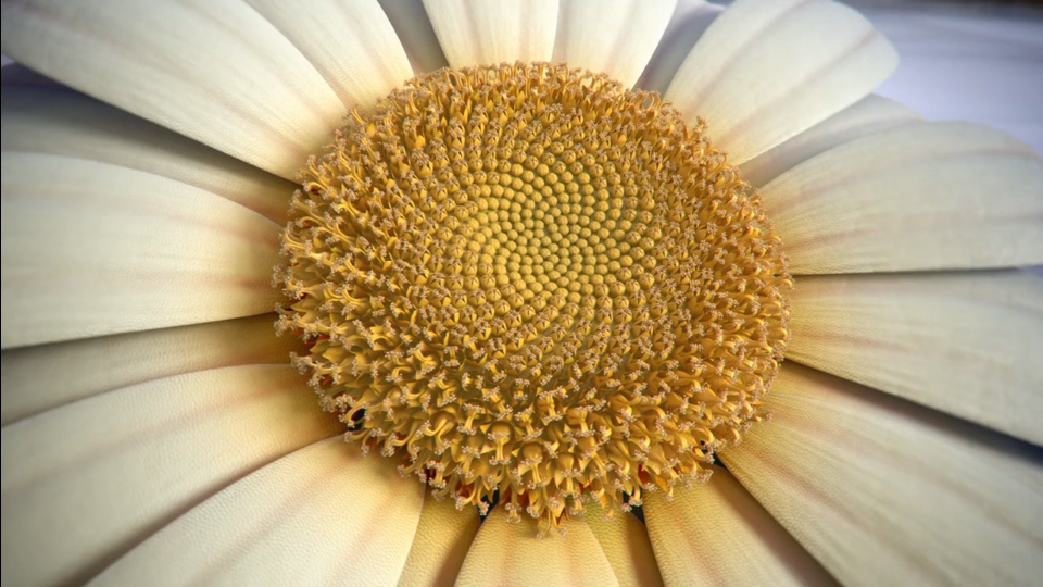 Cristóbal Vila Explores "Infinite Patterns” with CG Film | STASH ...