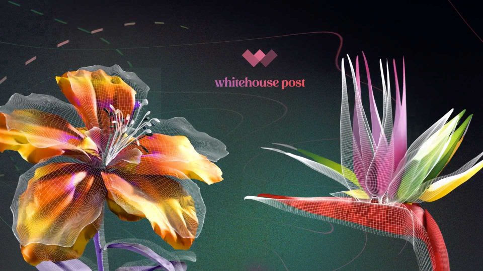 2023 AICP Awards Branding Blossoms With Flora by Flavor - Motion design ...
