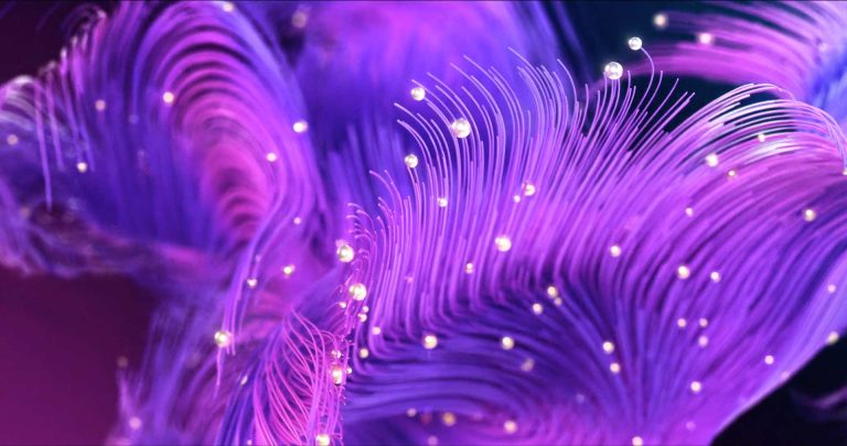 Elevation Opens 2023 Promax Awards Shows - Motion design - STASH : Motion design – STASH