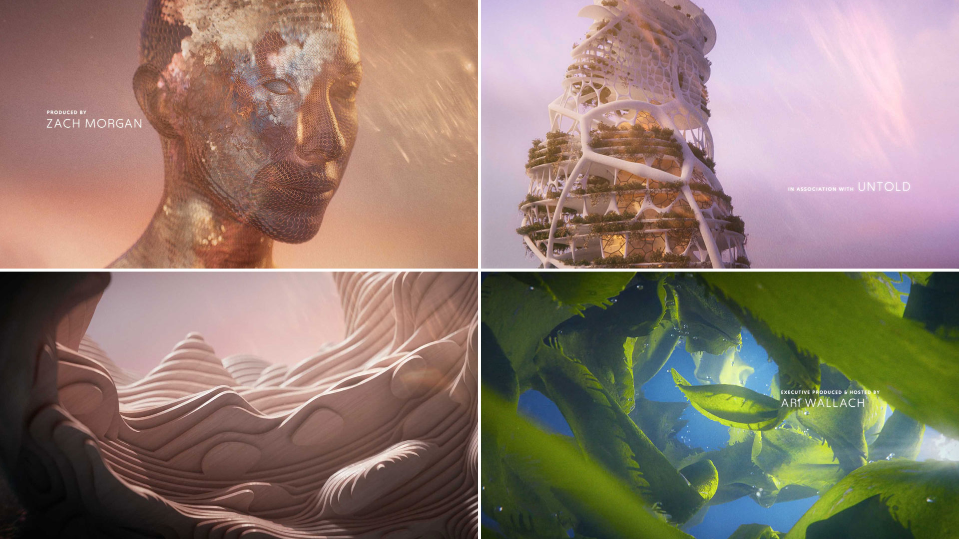 Untold Archives - Motion design - STASH : Motion design – STASH