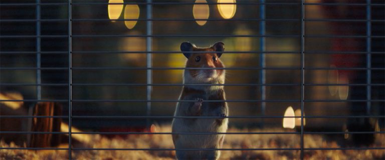 Albert Heijn "A Hamster Love Story" by Jelle de Jonge and Ambassadors ...