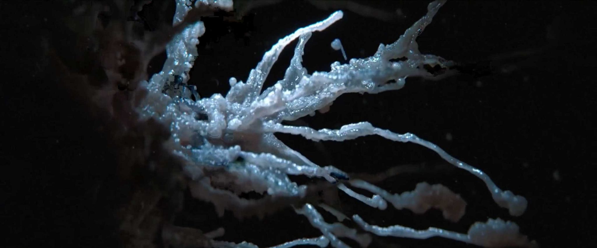 Gestation of Horror: Tendril and FX Launch "Alien: Earth" - Motion ...