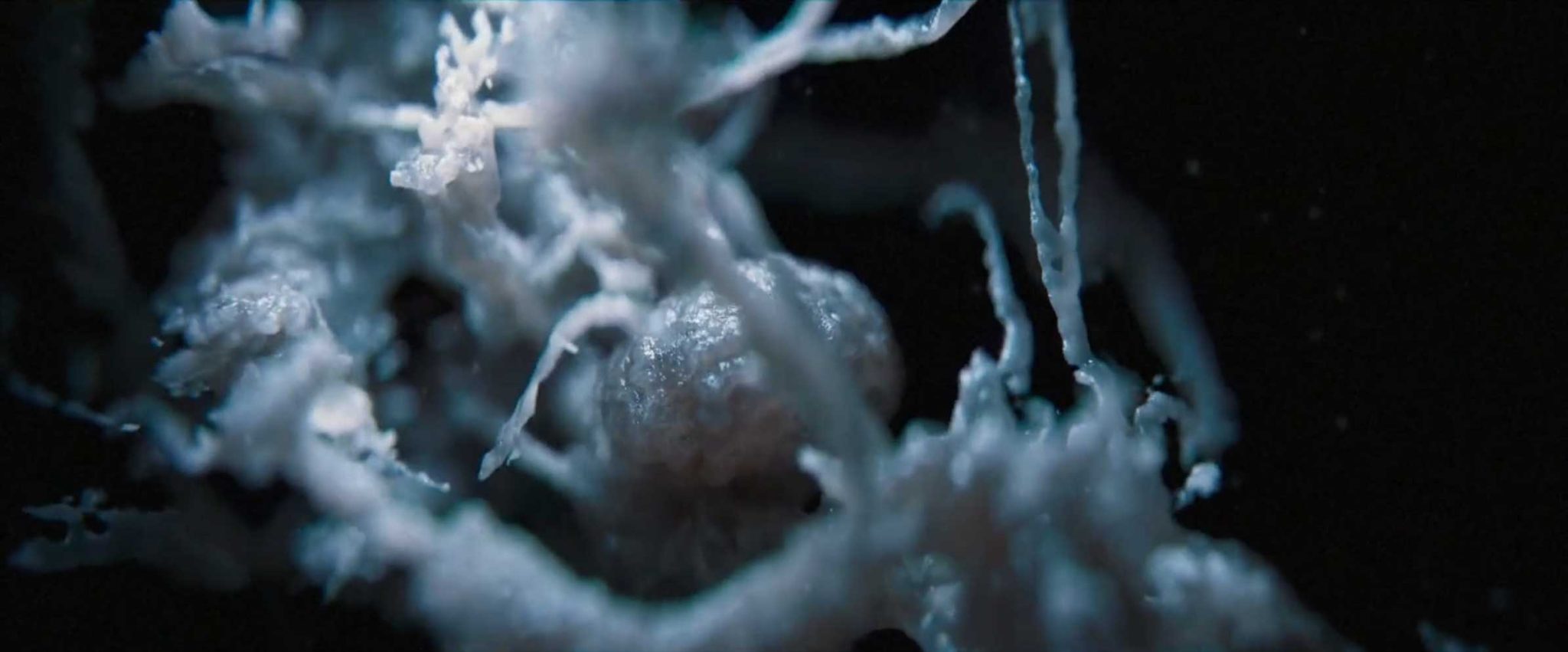 Gestation of Horror: Tendril and FX Launch "Alien: Earth" - Motion ...
