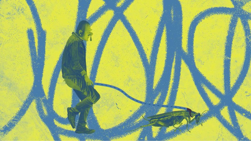 A Few Deep Thoughts About BUGS Courtesy of Animation.Monks - Motion ...