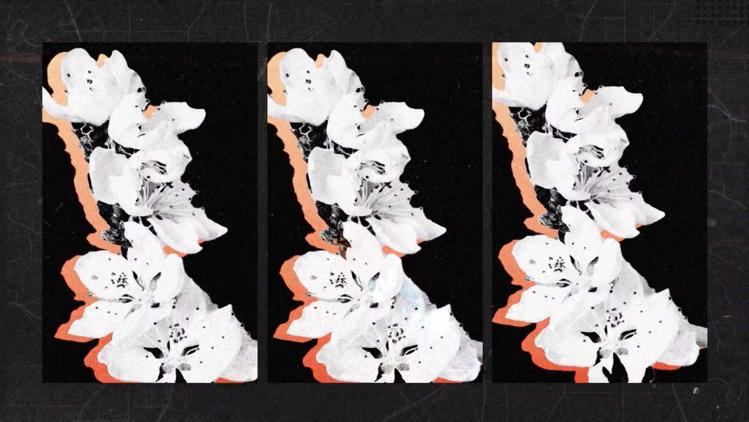 Creative Mammals Reveal Atlanta Hawks' Peach City Edition Jersey ...