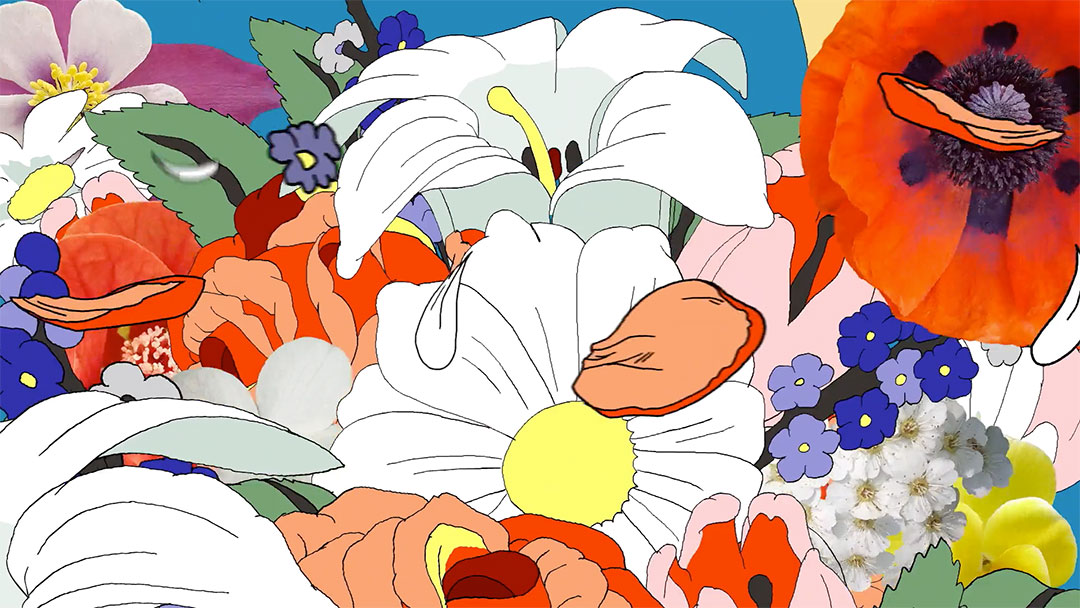 Felix Sputnik: the Secrets of Quadruped Locomotion | STASH MAGAZINE ...