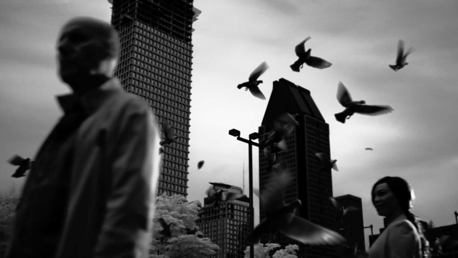 Marius Gonzalez and Paume "Ditch The Norm" for Can-Am - Motion design ...