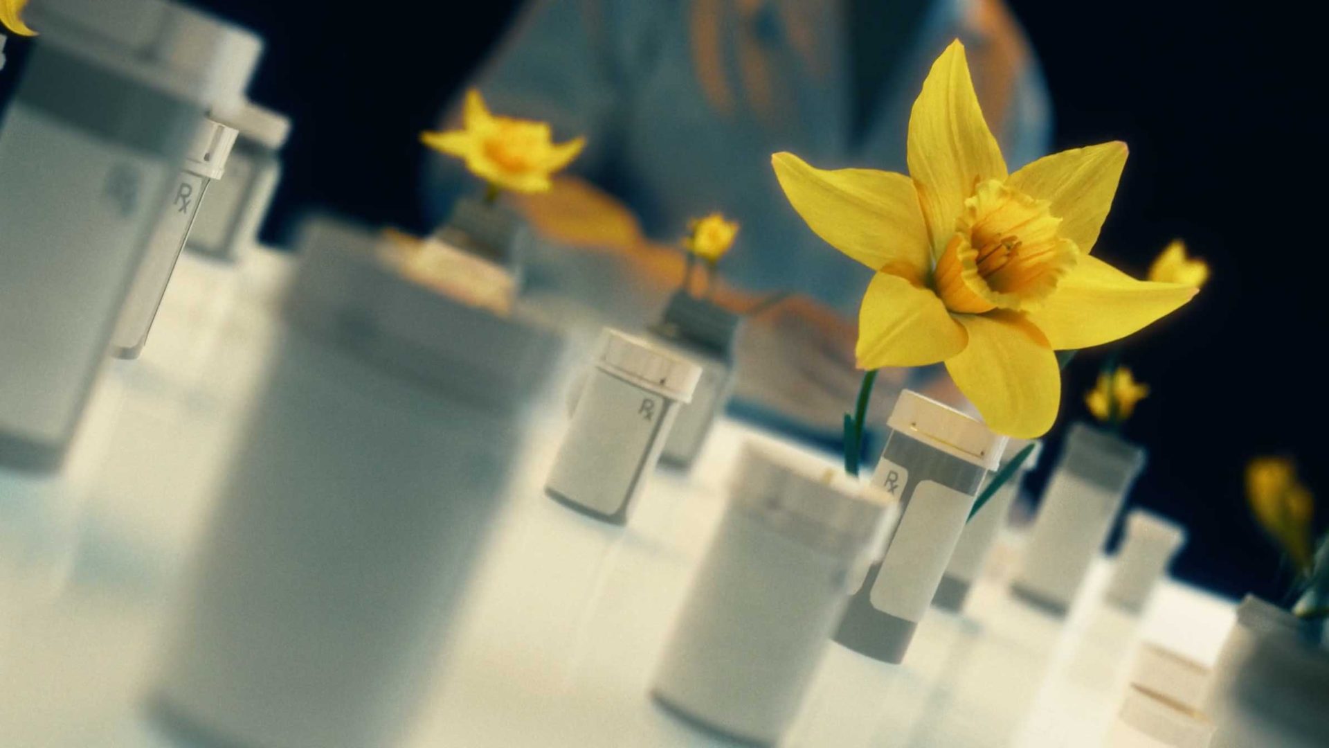 Reactiv and Impossible Studios “Help Hope Bloom” for Canadian Cancer ...