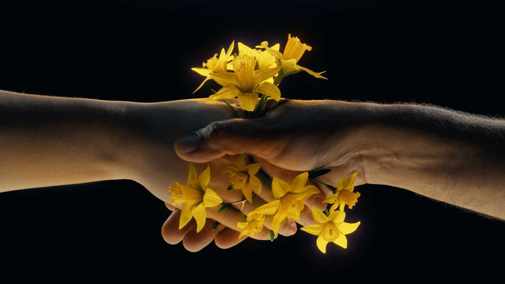 Reactiv and Impossible Studios “Help Hope Bloom” for Canadian Cancer ...