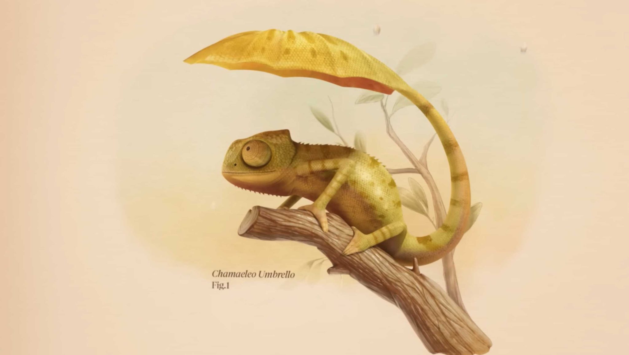 "Everything Evolves" in New Coda Brand Film by Buck - Motion design ...