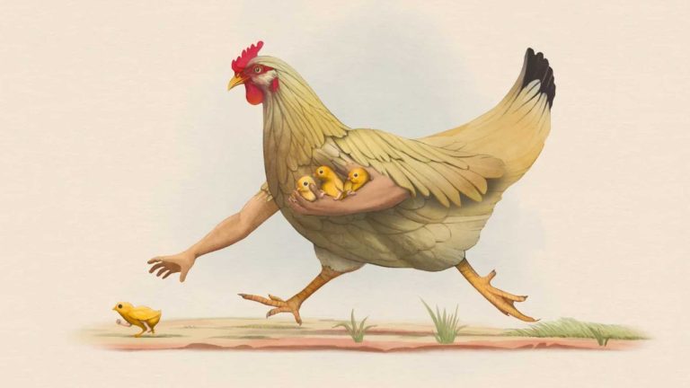 "Everything Evolves" in New Coda Brand Film by Buck - Motion design ...