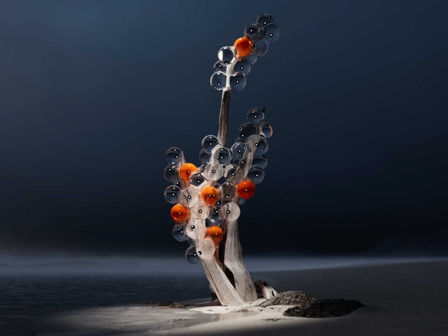 Colors And The Kids Trip to the Unknown in "Trafo" Short Film - Motion ...