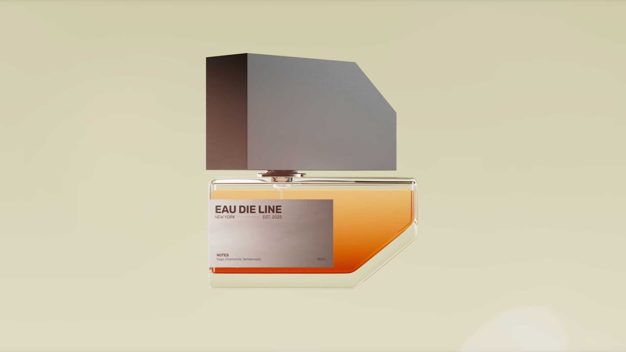 The Collected Works Launch DIELINE Awards 2025 - Motion design - STASH ...