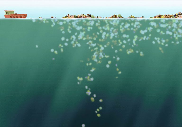 "DONKS" Short Film by Felix Colgrave - Motion design - STASH : Motion ...