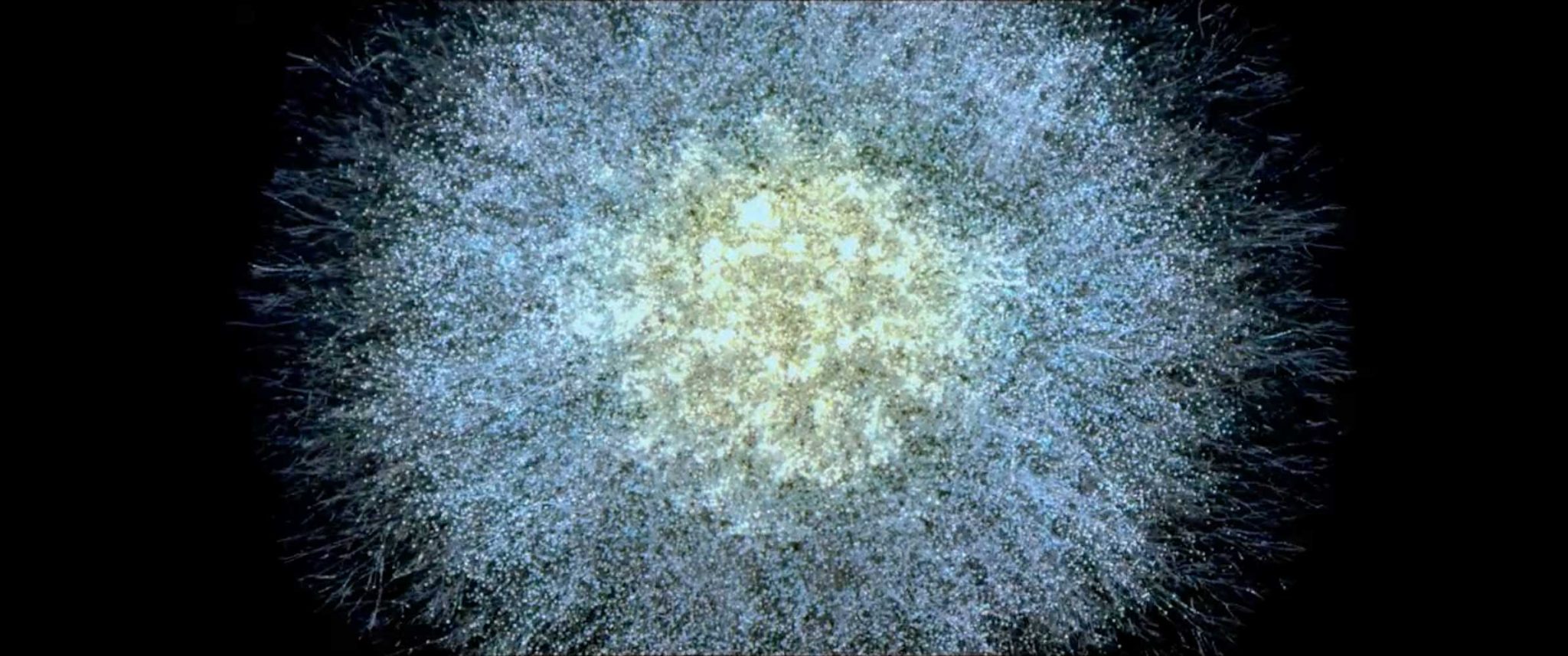 The Organic & the Forensic: The Sequence Group Opens "Death Cap Murders ...