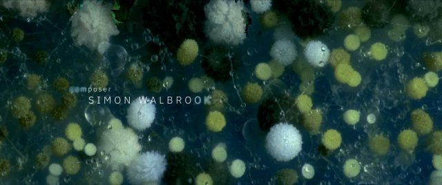 The Organic & the Forensic: The Sequence Group Opens "Death Cap Murders ...