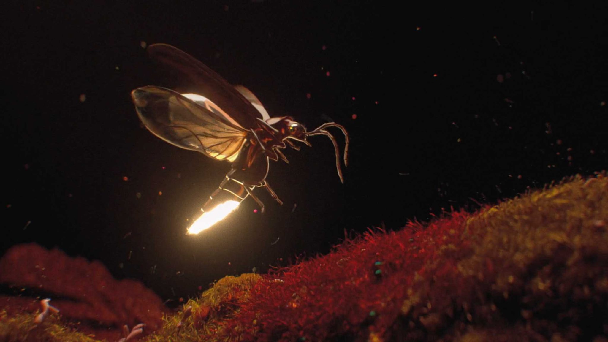 Duncan Elms and Friends Open Camp Mograph Australia - Motion design ...