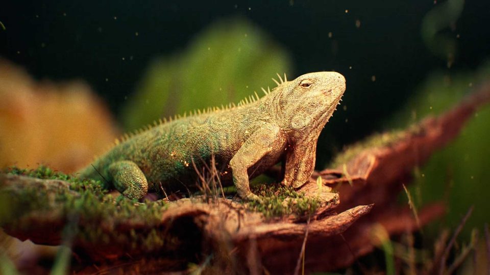 Duncan Elms and Friends Open Camp Mograph Australia - Motion design ...