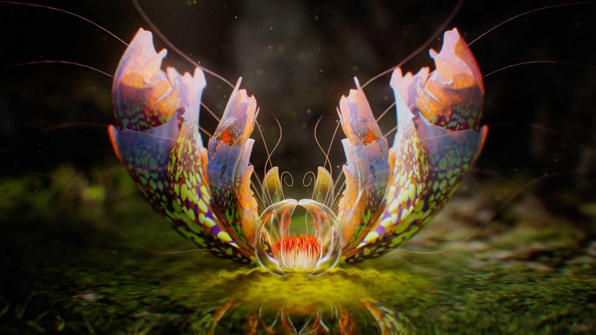 Duncan Elms and Friends Open Camp Mograph Australia - Motion design ...