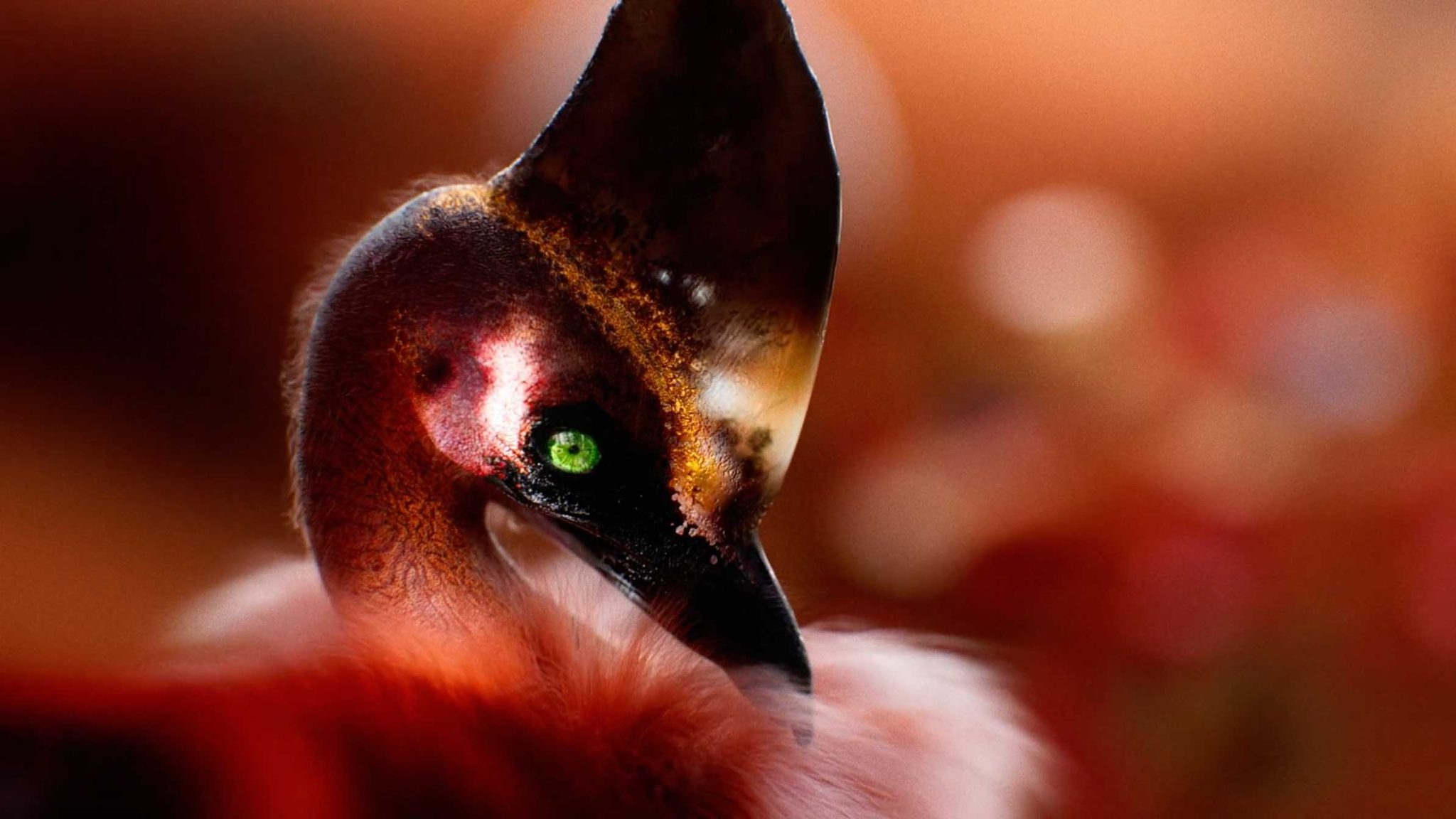 Duncan Elms and Friends Open Camp Mograph Australia - Motion design ...