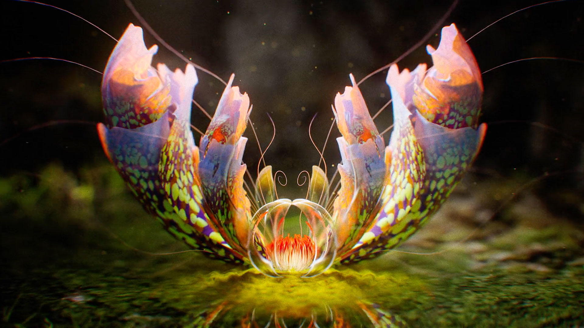 Camp Mograph Australia Archives - Motion design - STASH : Motion design ...