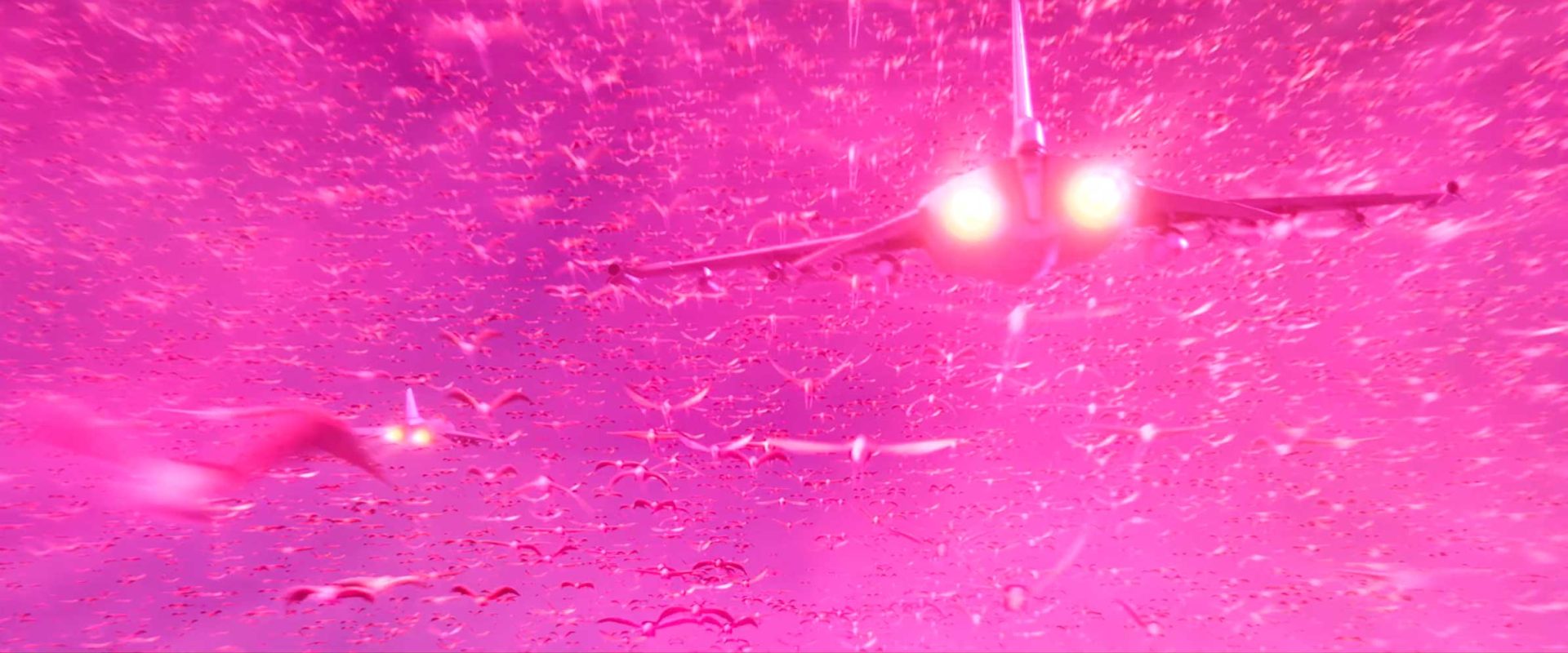 Peace-Seeking Flamingos Go to War in "CODE ROSE" - Motion design ...