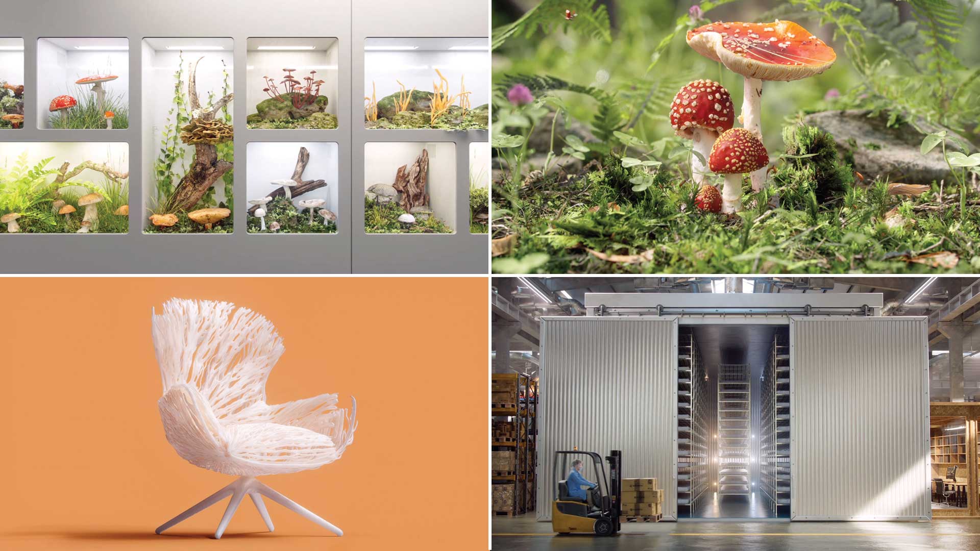 Ecovative Brand Film by Vantage Films and SuperFly - Motion design ...