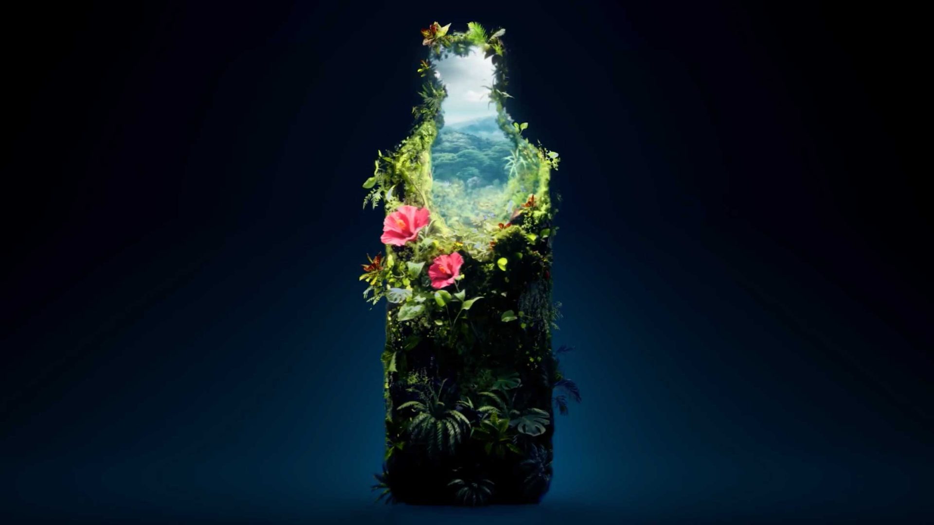 Nadia Tzuo & Elastic Capture the Journey of Fiji Water - Motion design ...