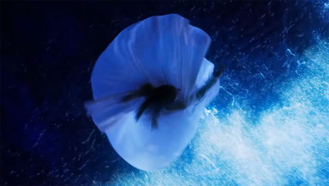 "Fireflies of the Night: A Dance of Bioluminescence" Full-CG Short Film ...