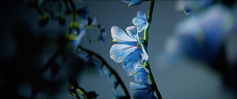 Floating Point Art Release "Origin" Short Film - Motion design - STASH ...