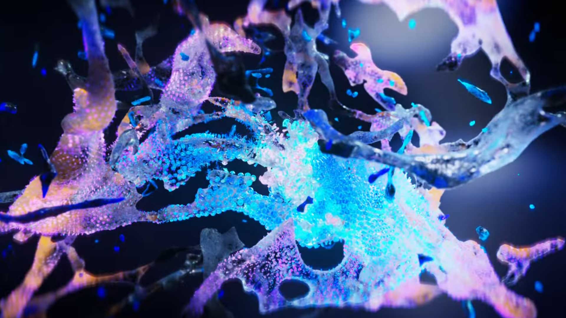 Brian Drucker Archives - Motion design - STASH : Motion design – STASH