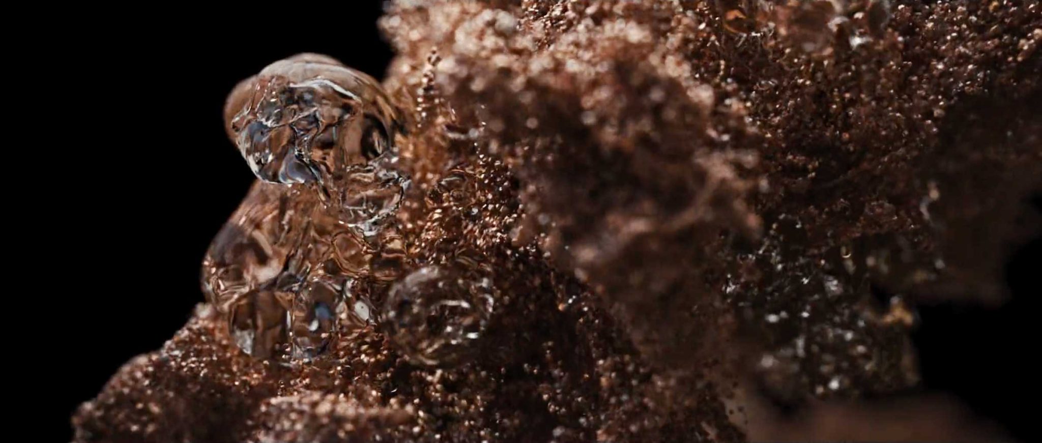 Not That Oasis: Watch Freek Freriks' New Short Film "Wāḥa" - Motion ...