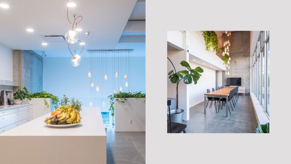 Stash Motion>Profiles Gets Personal With Giant Ant - Motion design ...