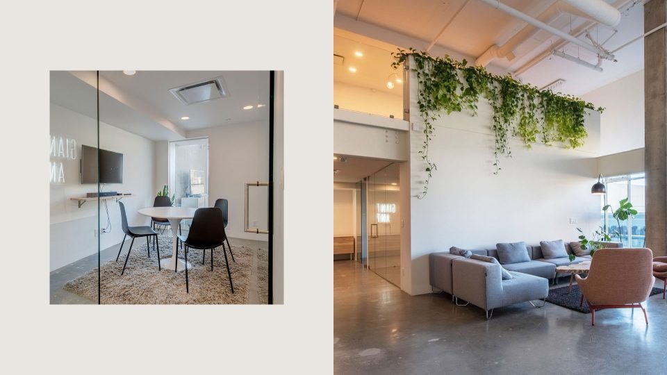 Stash Motion>Profiles Gets Personal With Giant Ant - Motion design ...