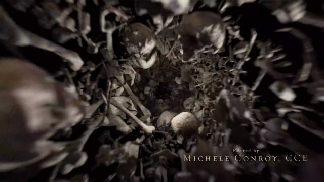 The Mill Peaks Inside Guillermo del Toro’s "Cabinet of Curiosities ...