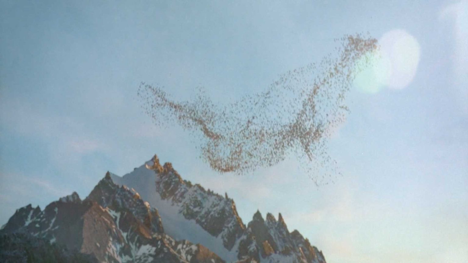 Mathematic Conjures a "Murmuration" of Athletes for HOKA - Motion ...