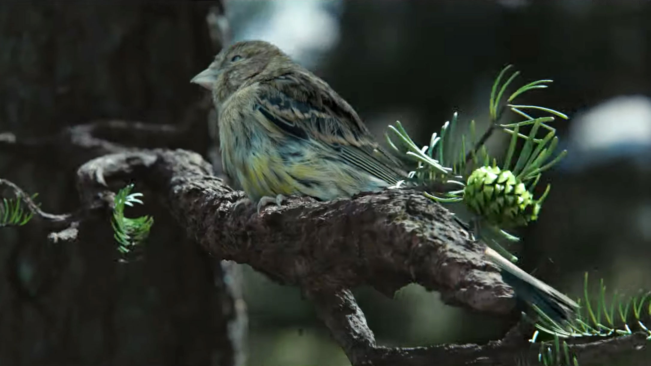 HP "Printing Trees" Spot by Megaforce and Kevin - Motion design - STASH ...