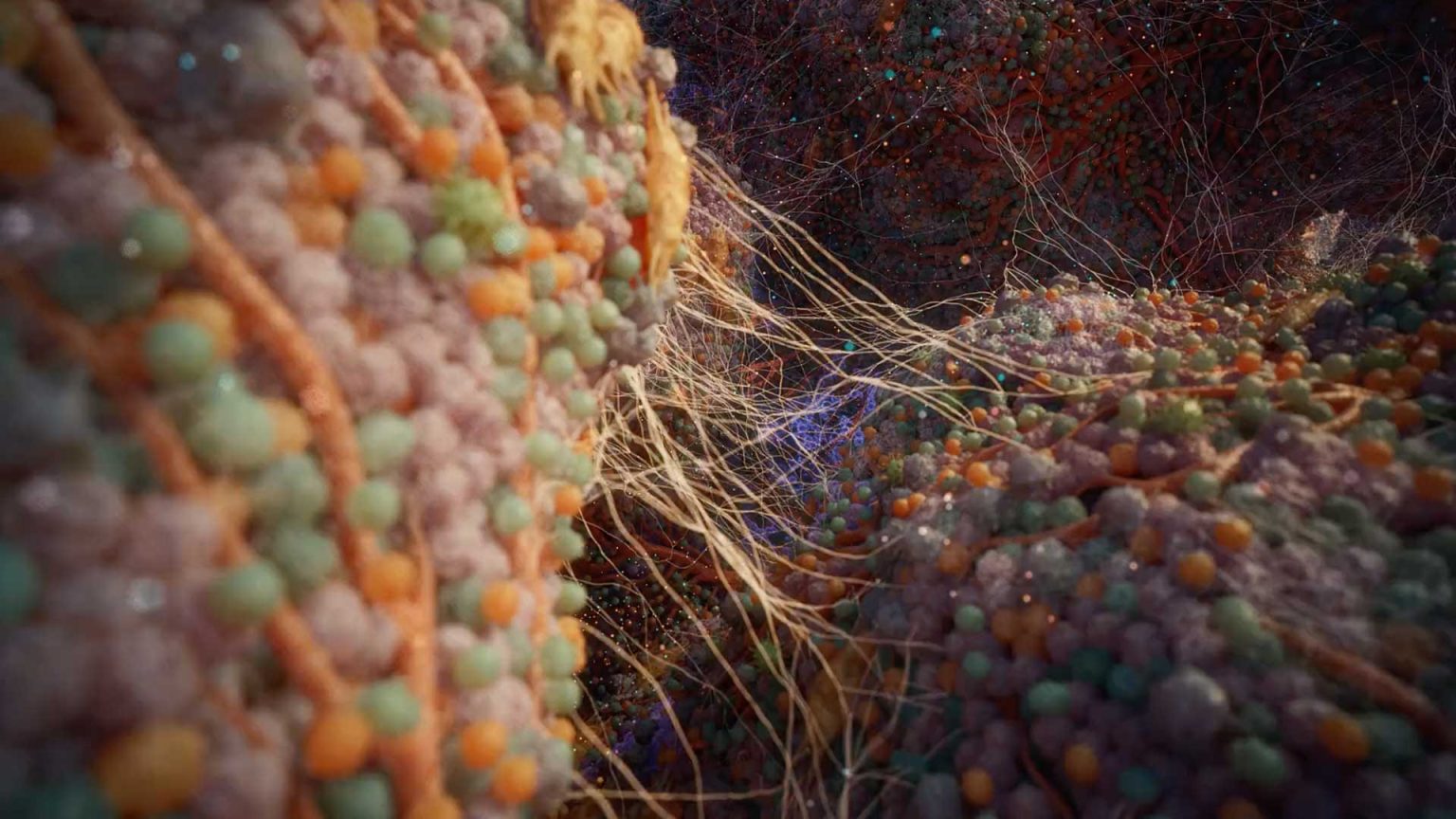 Hybrid's Fantastic Voyage into a Tumor Microenvironment - Motion design ...