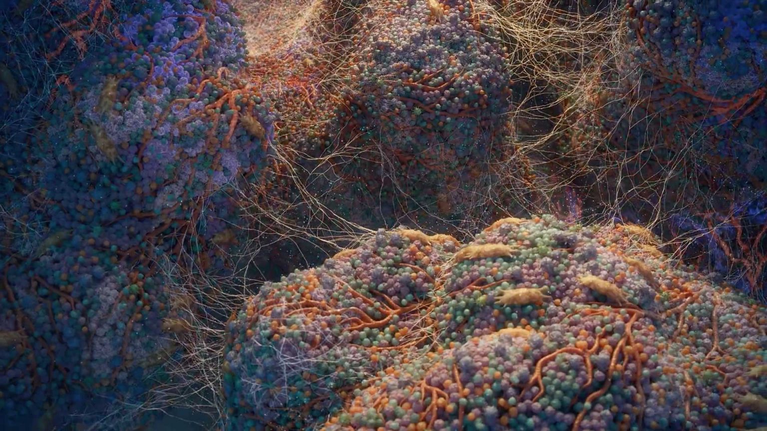 Hybrid's Fantastic Voyage into a Tumor Microenvironment - Motion design ...