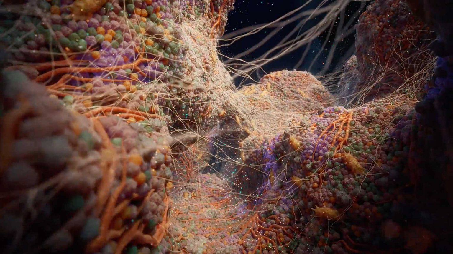 Hybrid's Fantastic Voyage into a Tumor Microenvironment - Motion design ...