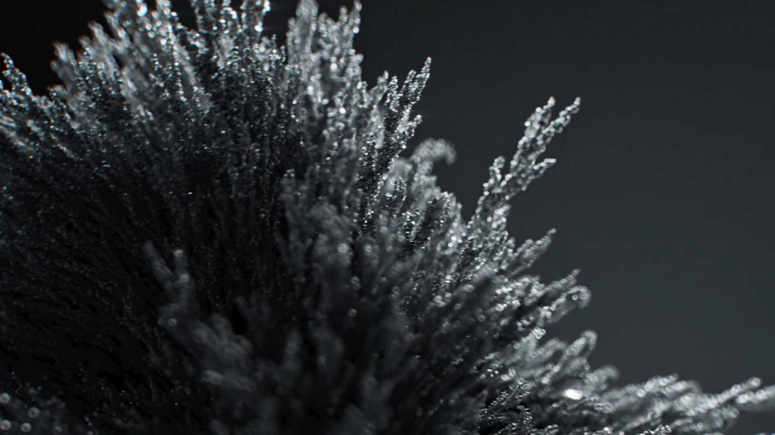 PULK Collective Sculpt Product Film for IWC's Ingenieur Watch - Motion ...