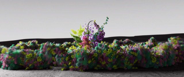 Nature Triumphs in "Flora" Short Film by Ian Frederick - Motion design ...