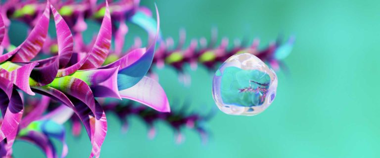 Nature Triumphs in "Flora" Short Film by Ian Frederick - Motion design ...