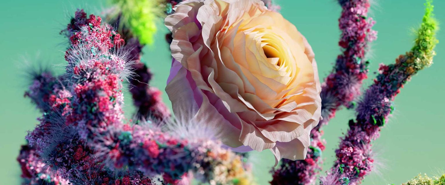 Nature Triumphs in "Flora" Short Film by Ian Frederick - Motion design ...
